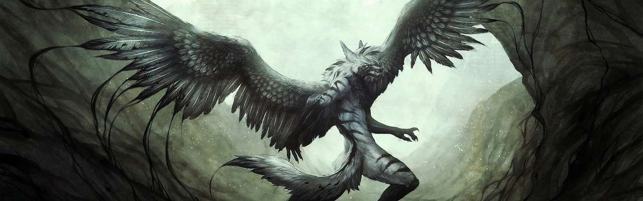 NIGHT FANG | Looking For Clan