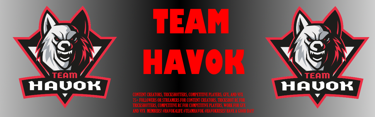 Team Havok | Looking For Clan