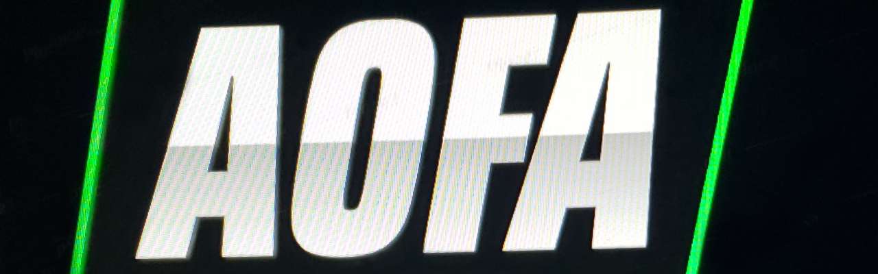 Army of Fallen Angels | Looking For Clan