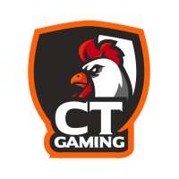 CT Gaming | Looking For Clan
