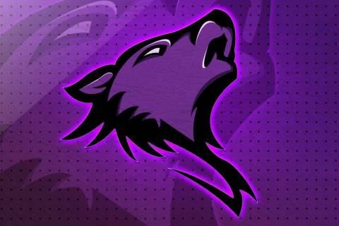 the alpha wolf | Looking For Clan