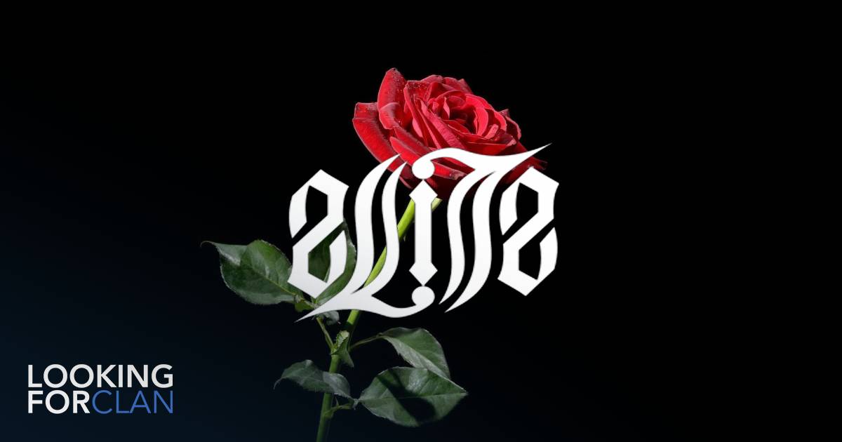 ELITE | Looking For Clan