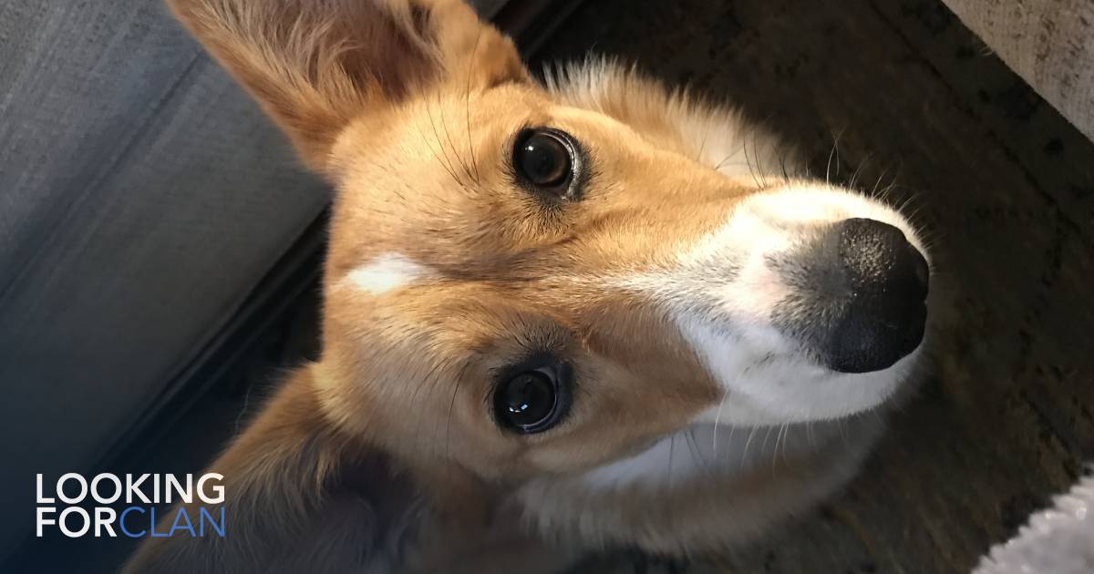 Team Bionic | Looking For Clan