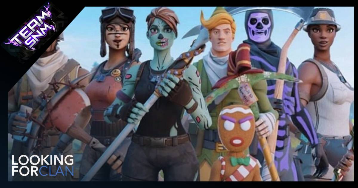 Team SNM | Looking For Clan